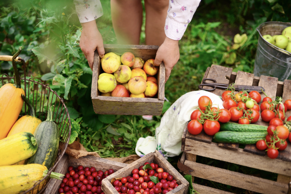 Appel à projets 'Alimentation saine et durable' - CRIE de Mariemont Appel à projets 'Alimentation saine et durable' - CRIE de Mariemont